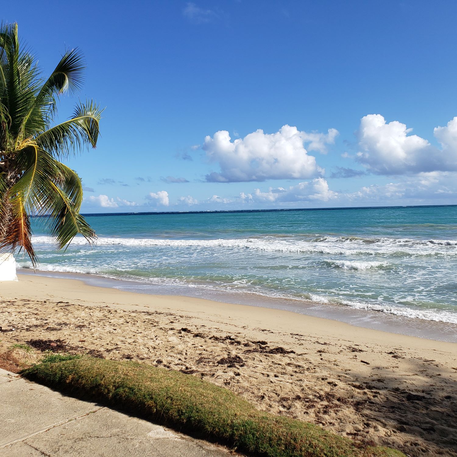 Reef Tower Ocean View Isla Verde Beach Access - Boricua Realty